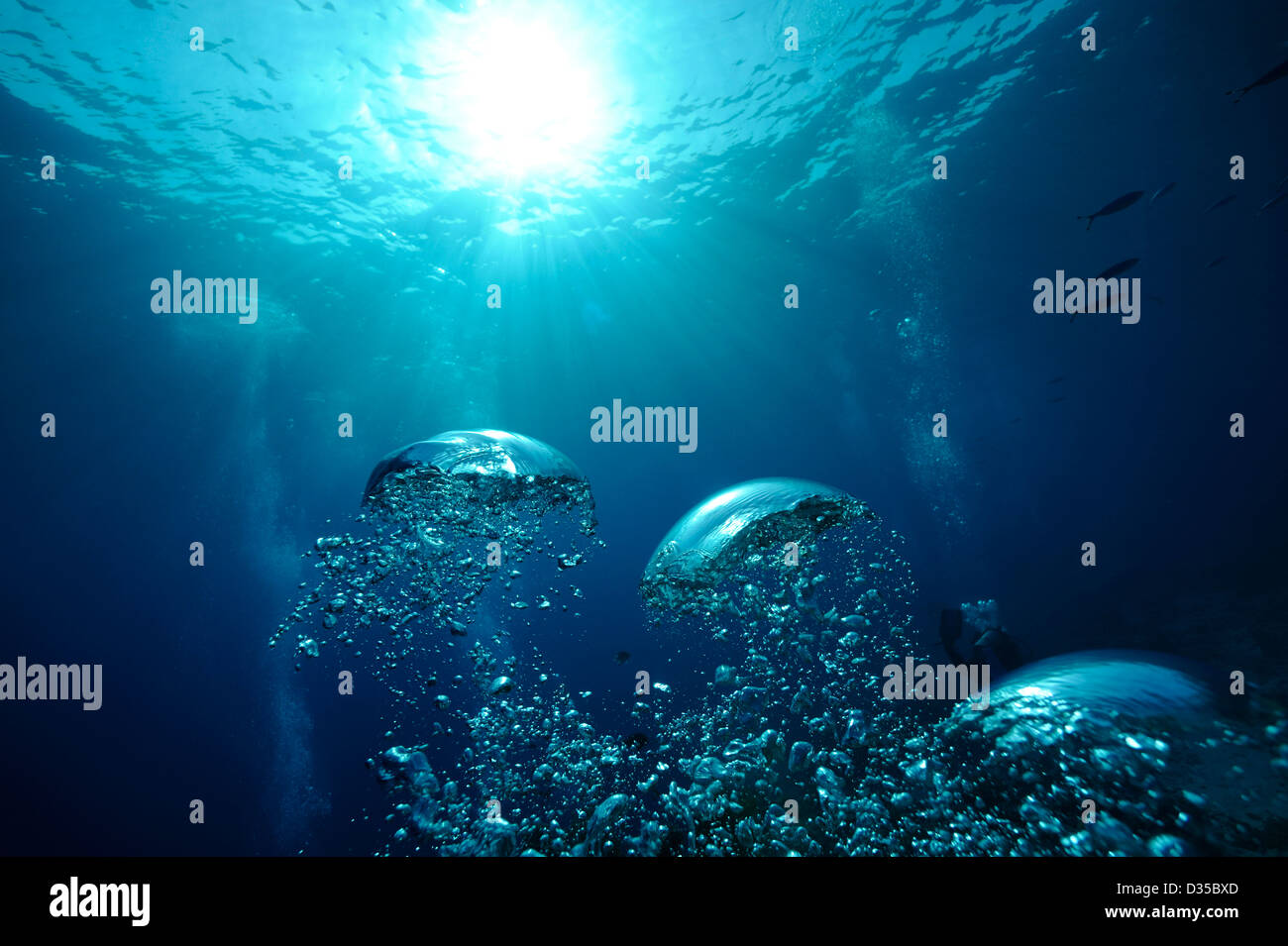 Underwater view of bubbles rising to the surface, bubbles from divers ...
