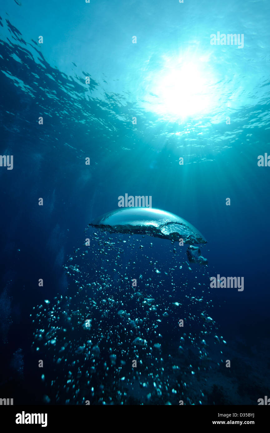 Underwater view of bubbles rising to the surface, bubbles from divers ...