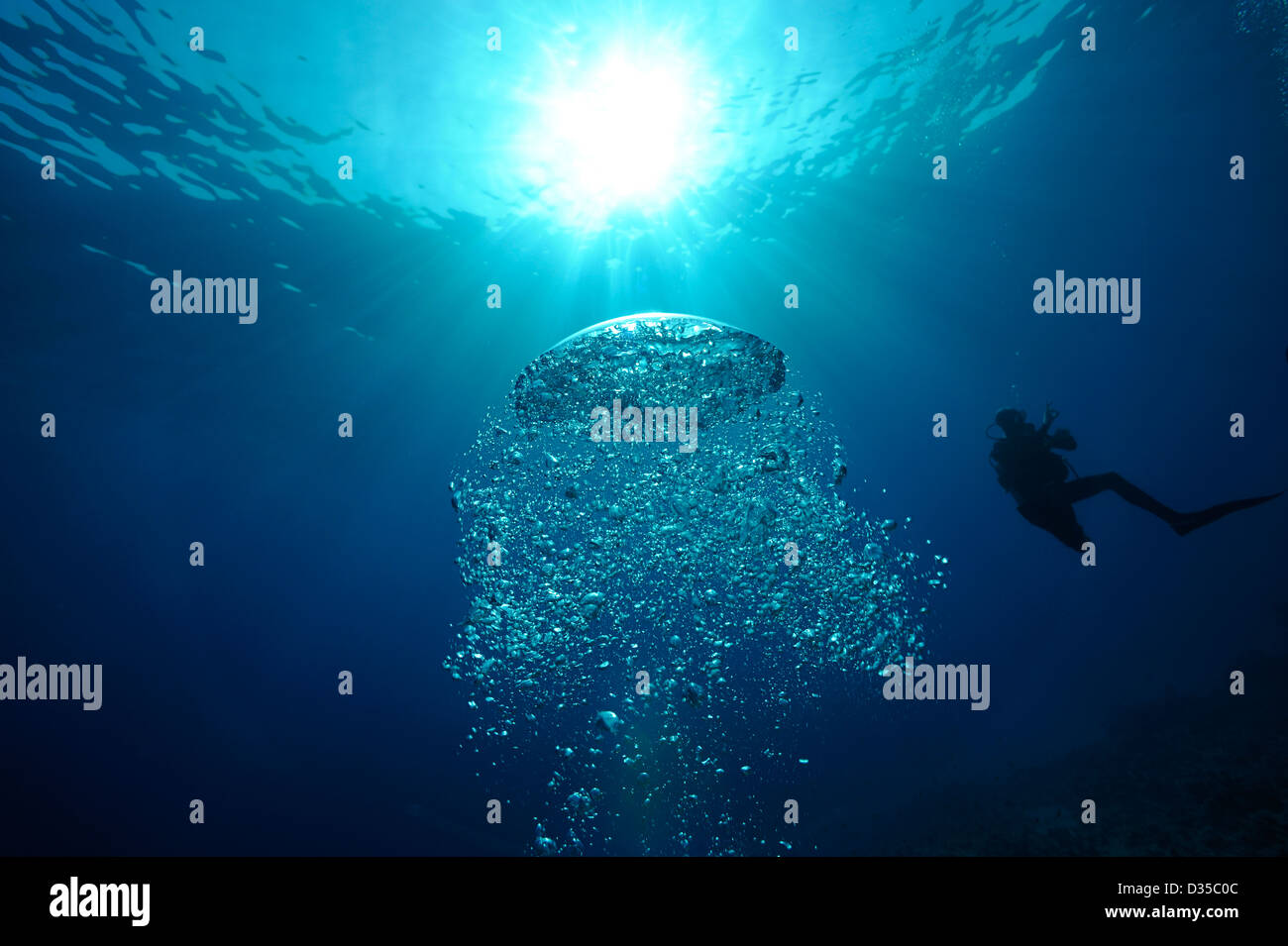 Underwater view of bubbles rising to the surface, bubbles from divers ...