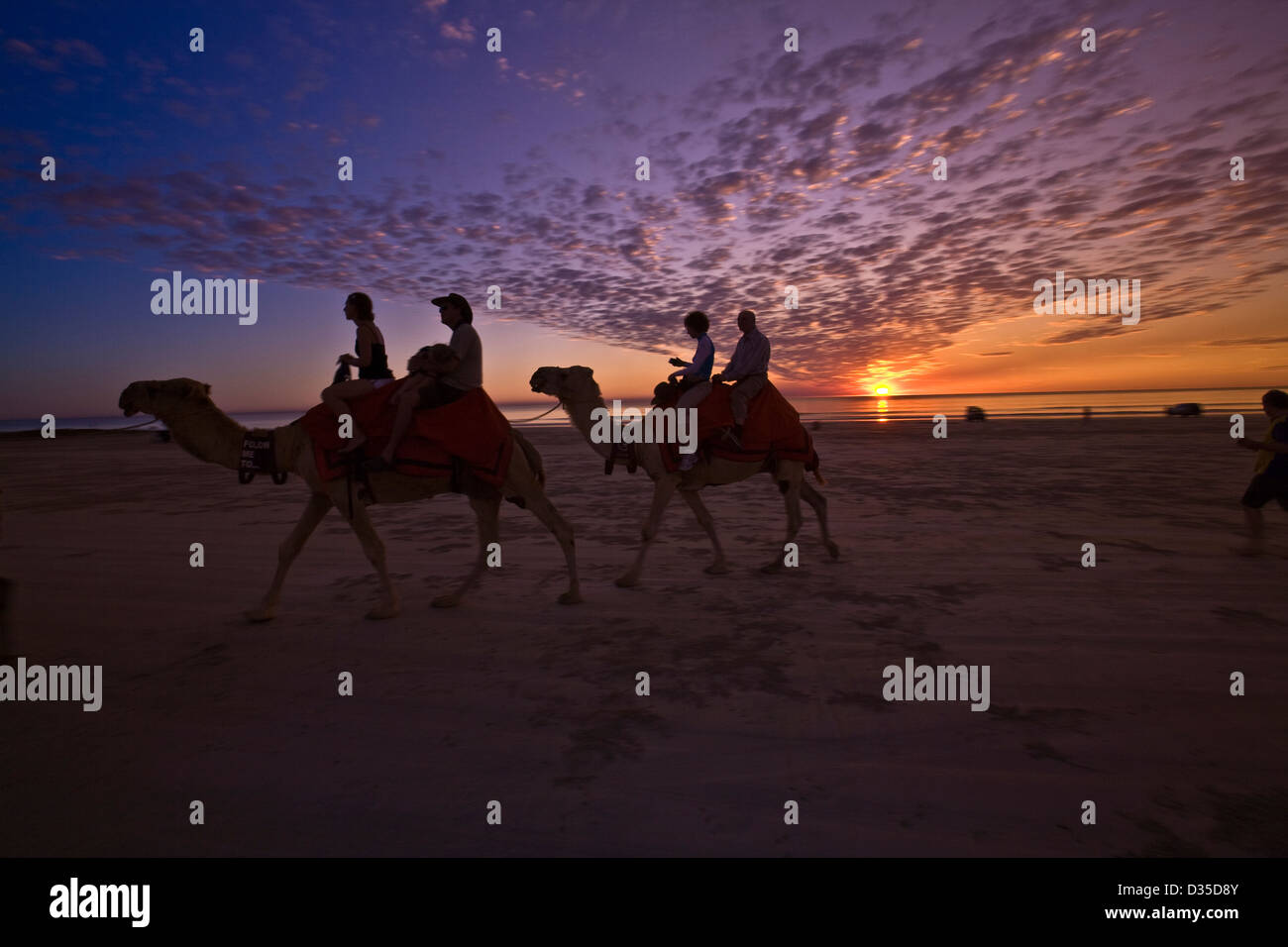 Camelback hi-res stock photography and images - Alamy