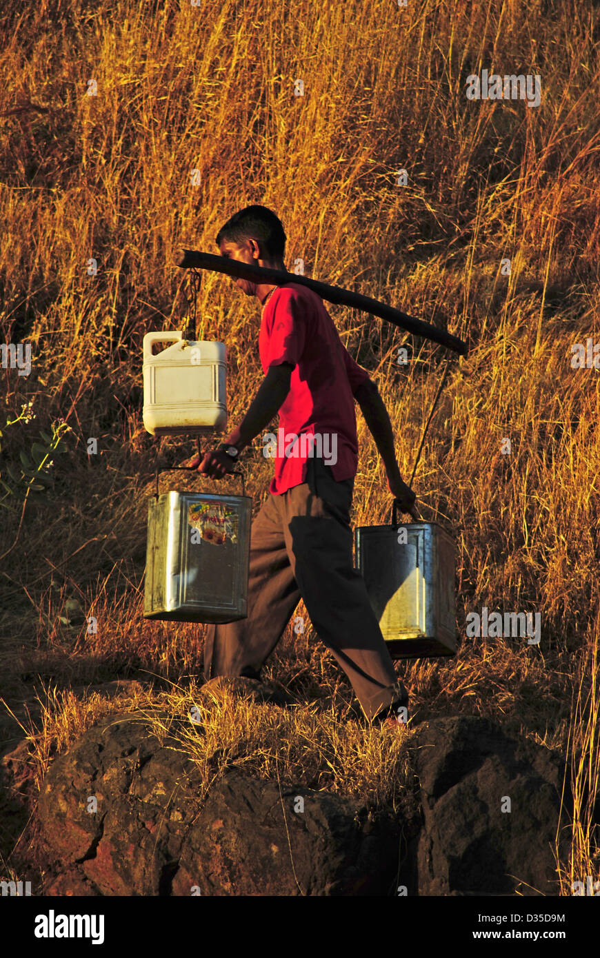 Man Carrying water on his shoulder, Maharashtra, India Stock Photo - Alamy