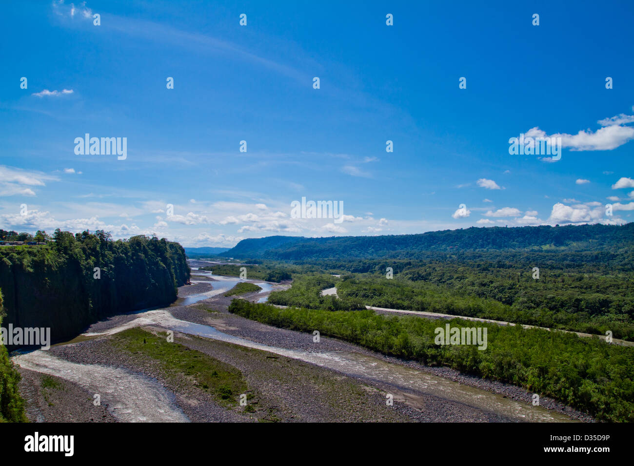 Jungle / Rainforest, Amazon Stock Photo - Alamy