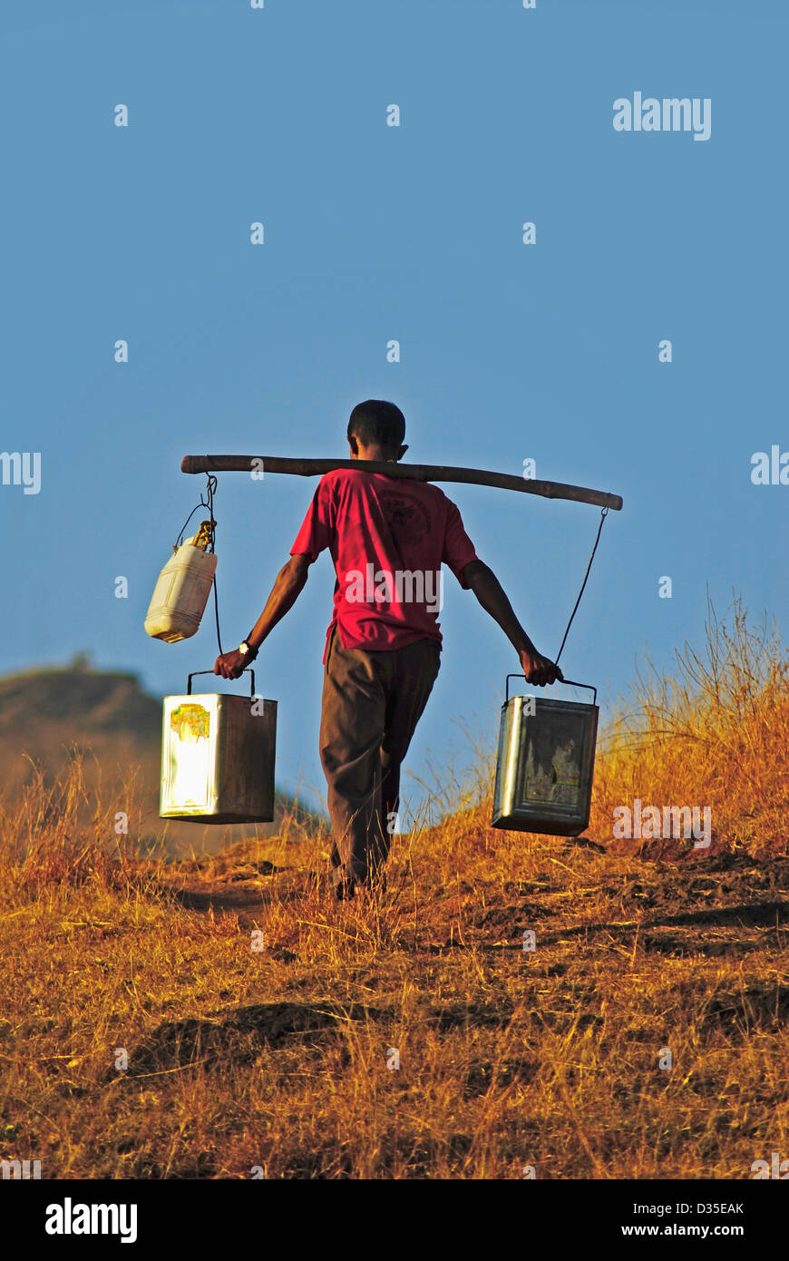 Man Carrying water on his shoulder, Maharashtra, India Stock Photo - Alamy