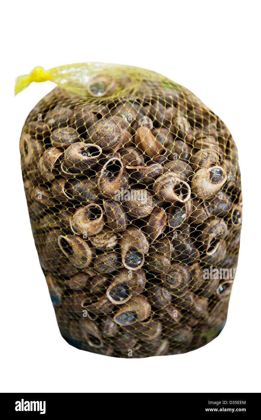 Live Snails Stock Photos & Live Snails Stock Images - Alamy