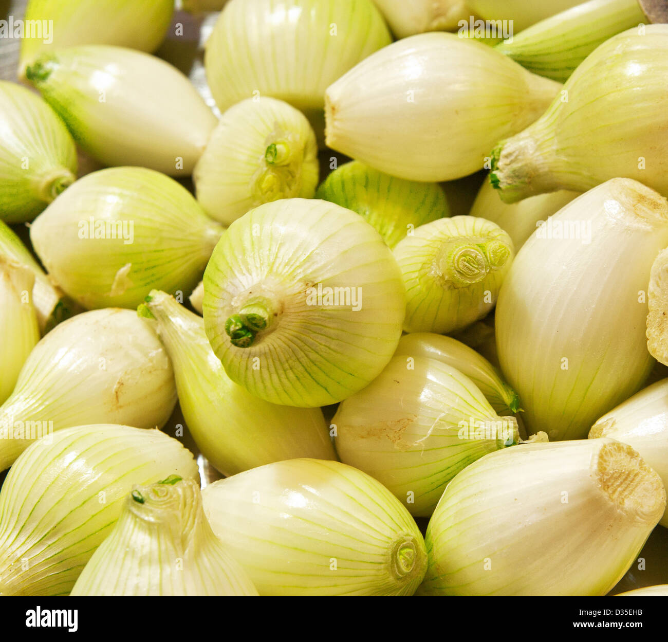 Onions for vitamins and minerals hi-res stock photography and images ...