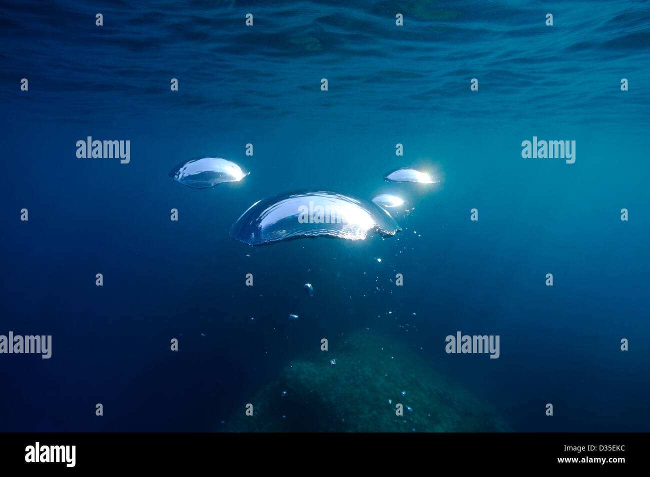 Underwater view of bubbles rising to the surface, bubbles from divers ...
