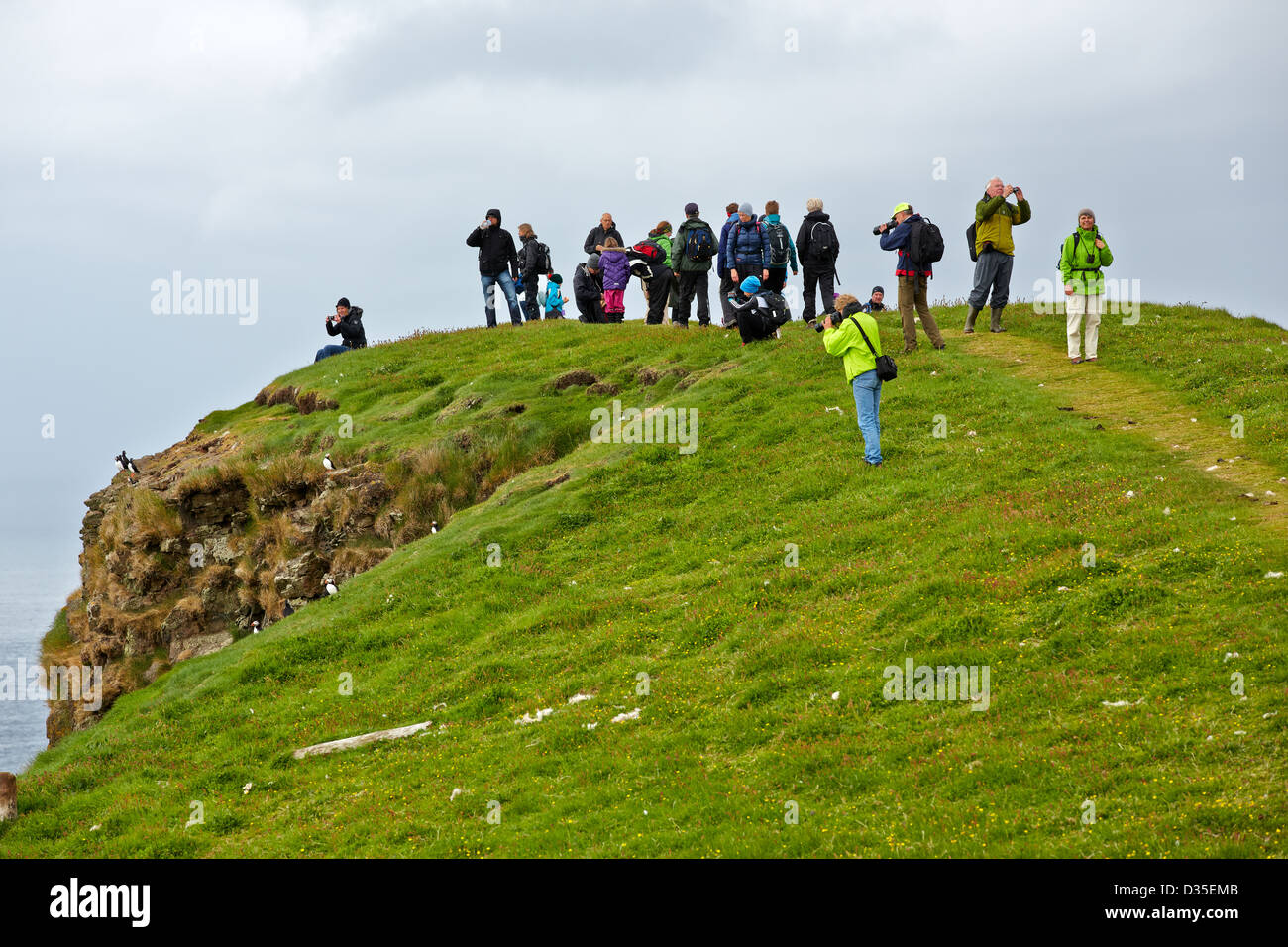 Tourists photographing puffins on Mykines Island, Faroe Islands Stock ...