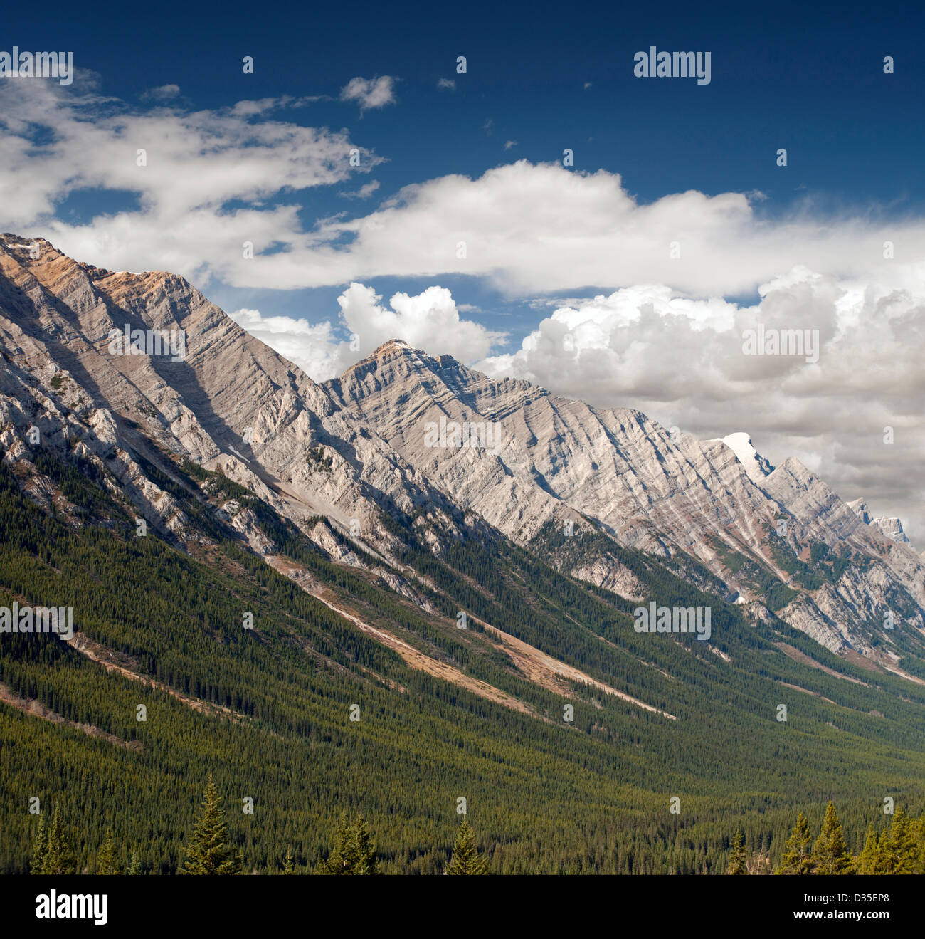 Forest range hi-res stock photography and images - Alamy