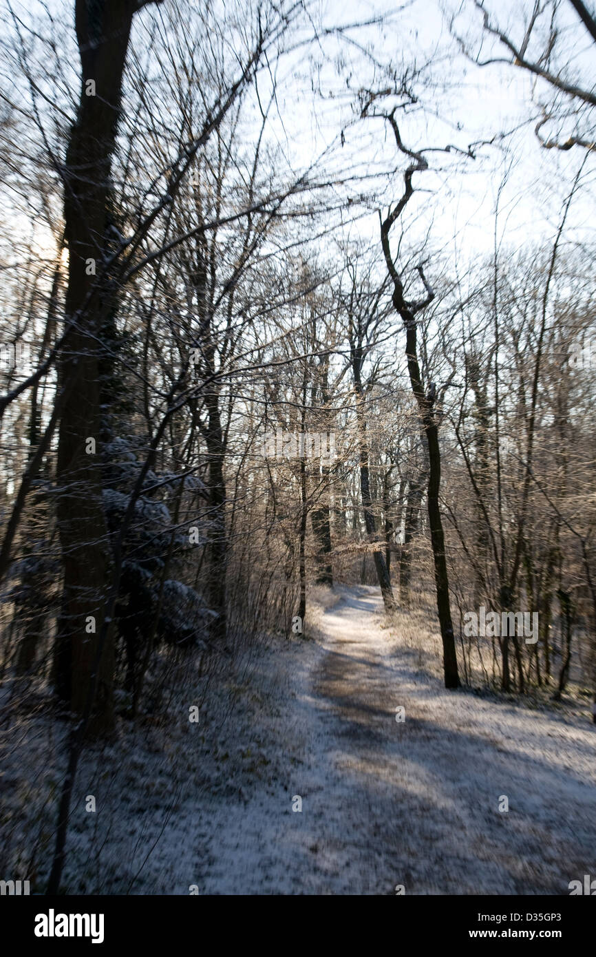 Winter snow path trees hi-res stock photography and images - Alamy