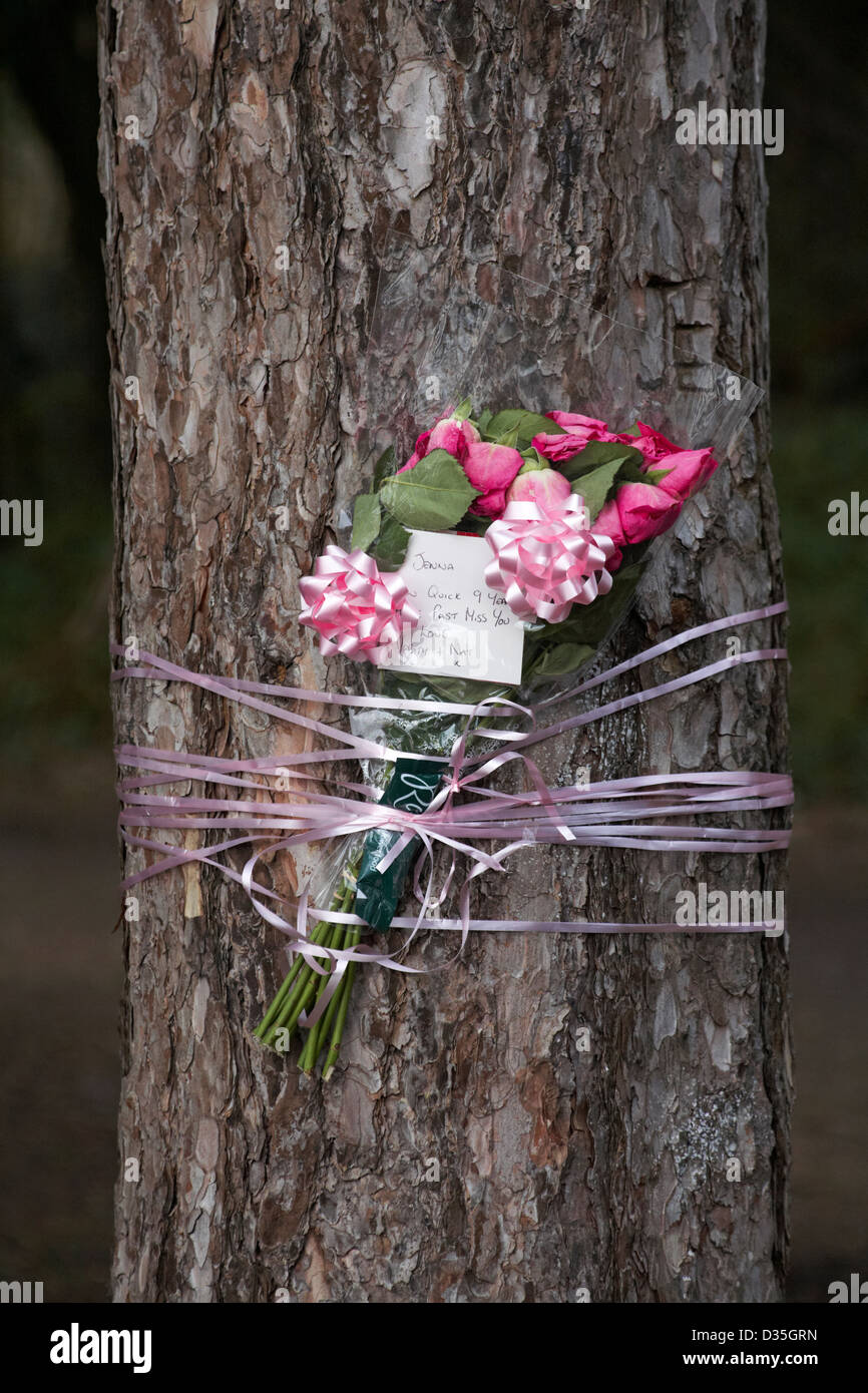 Memorial bunch of pink roses with bows and note tied around tree trunk ...