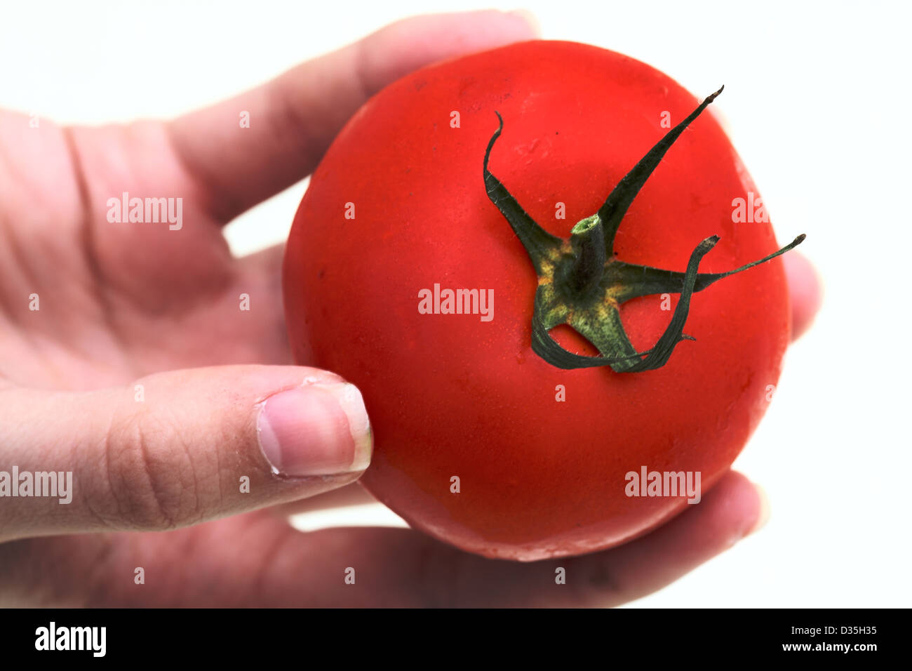Juicy Red tomato Stock Photo - Alamy