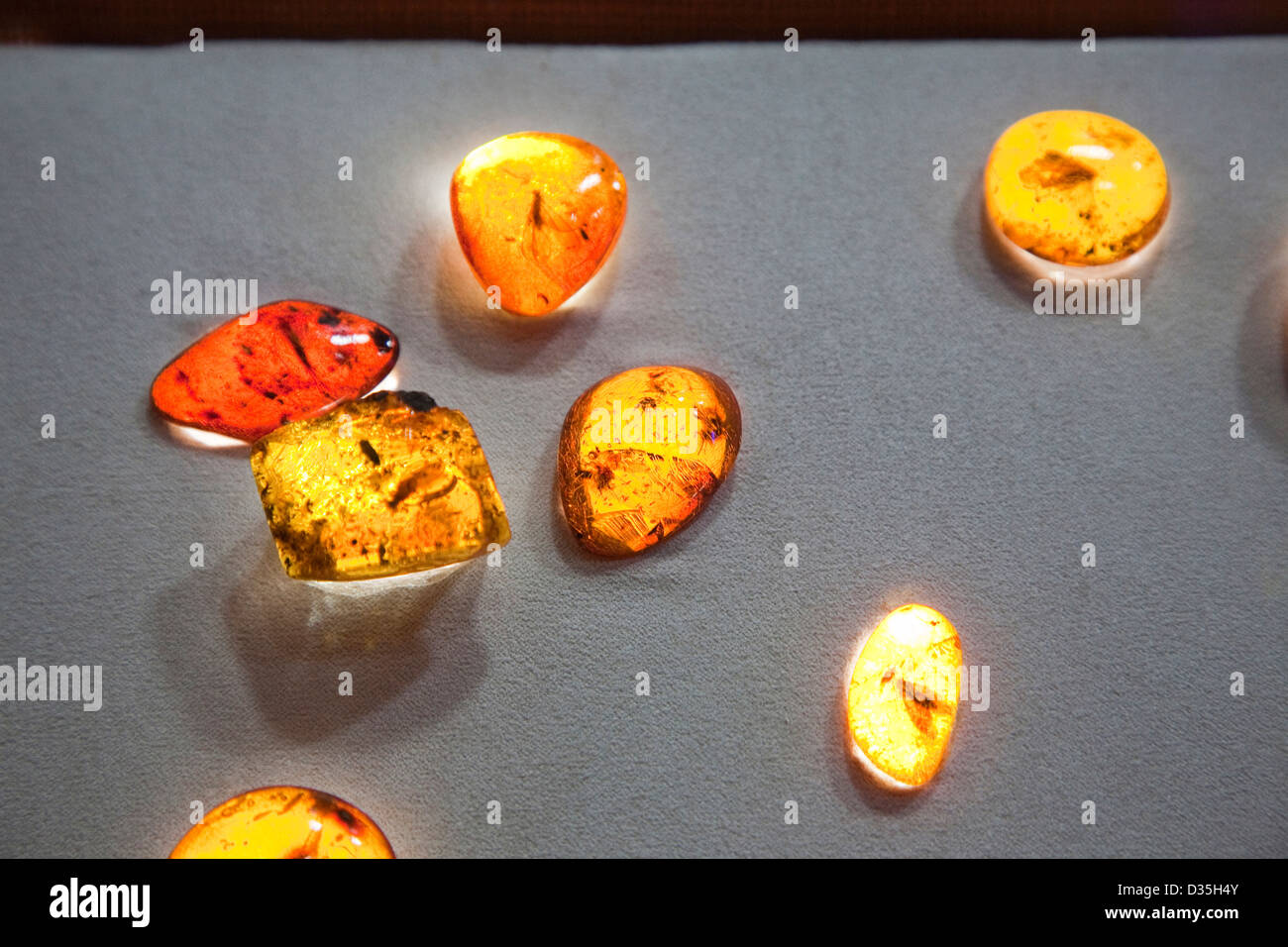 Amber museum dominican republic hi-res stock photography and images - Alamy