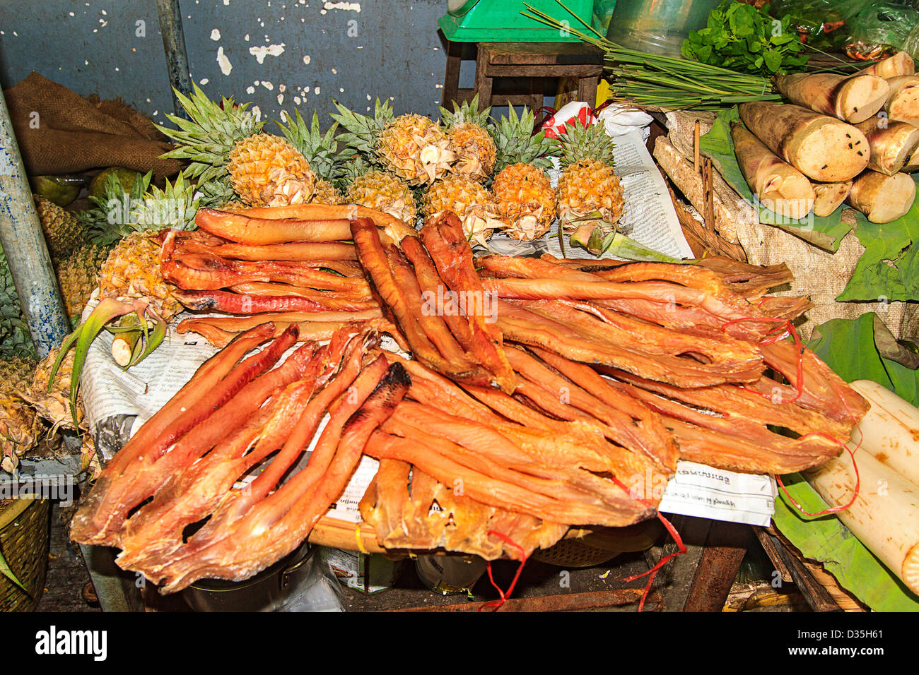 Snakefish fish hi-res stock photography and images - Alamy