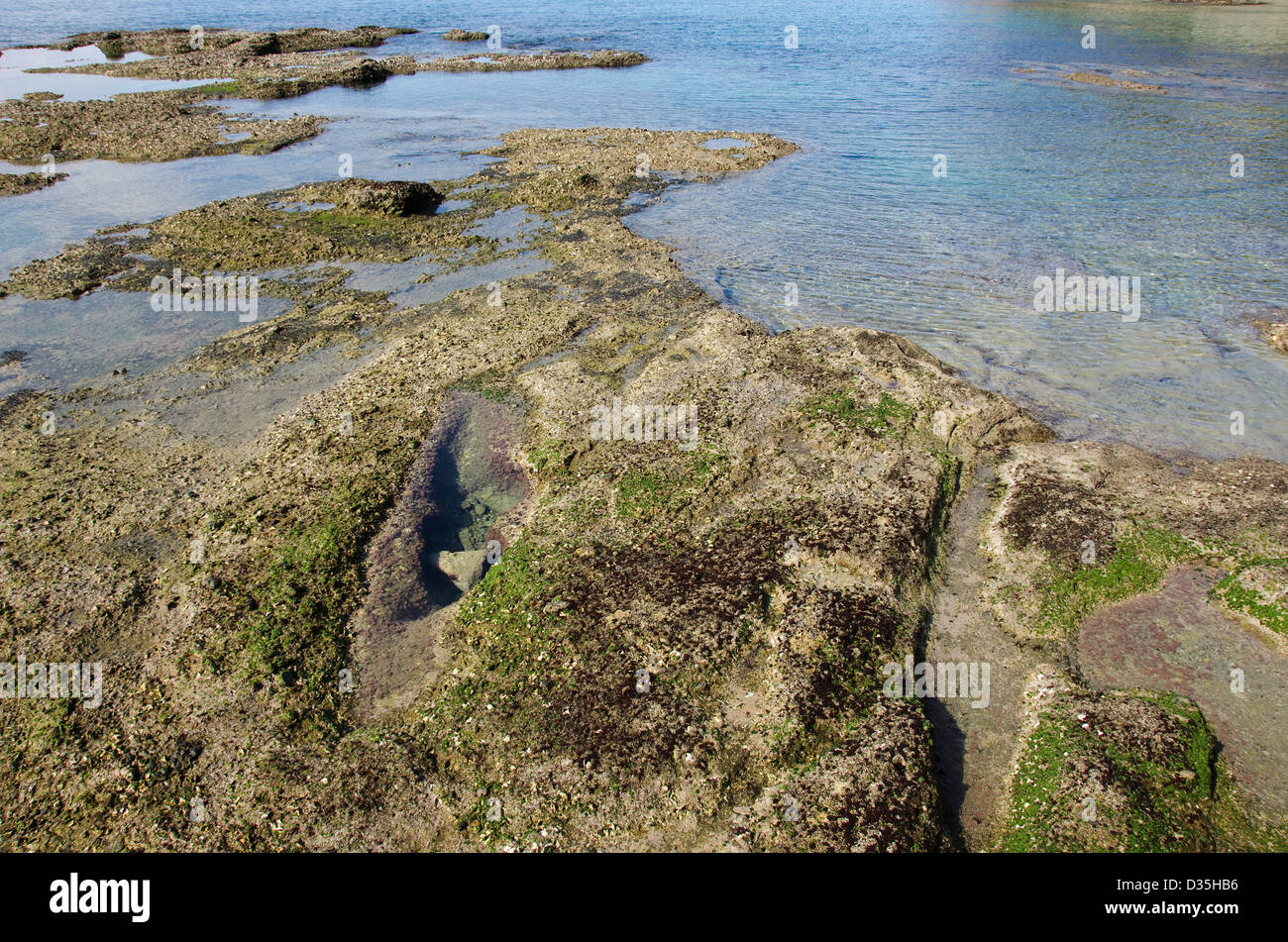 Tidal area with rocky surface at low tide in japan Stock Photo - Alamy