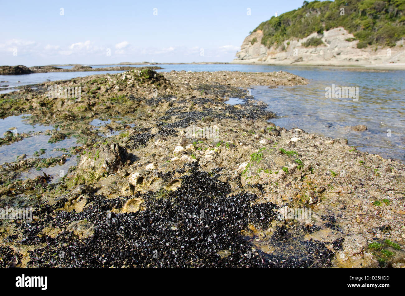 Tidal wave japan hi-res stock photography and images - Alamy
