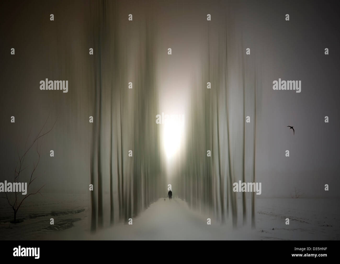 Scenic view with distorted landscape and sky with silhouetted figures ...