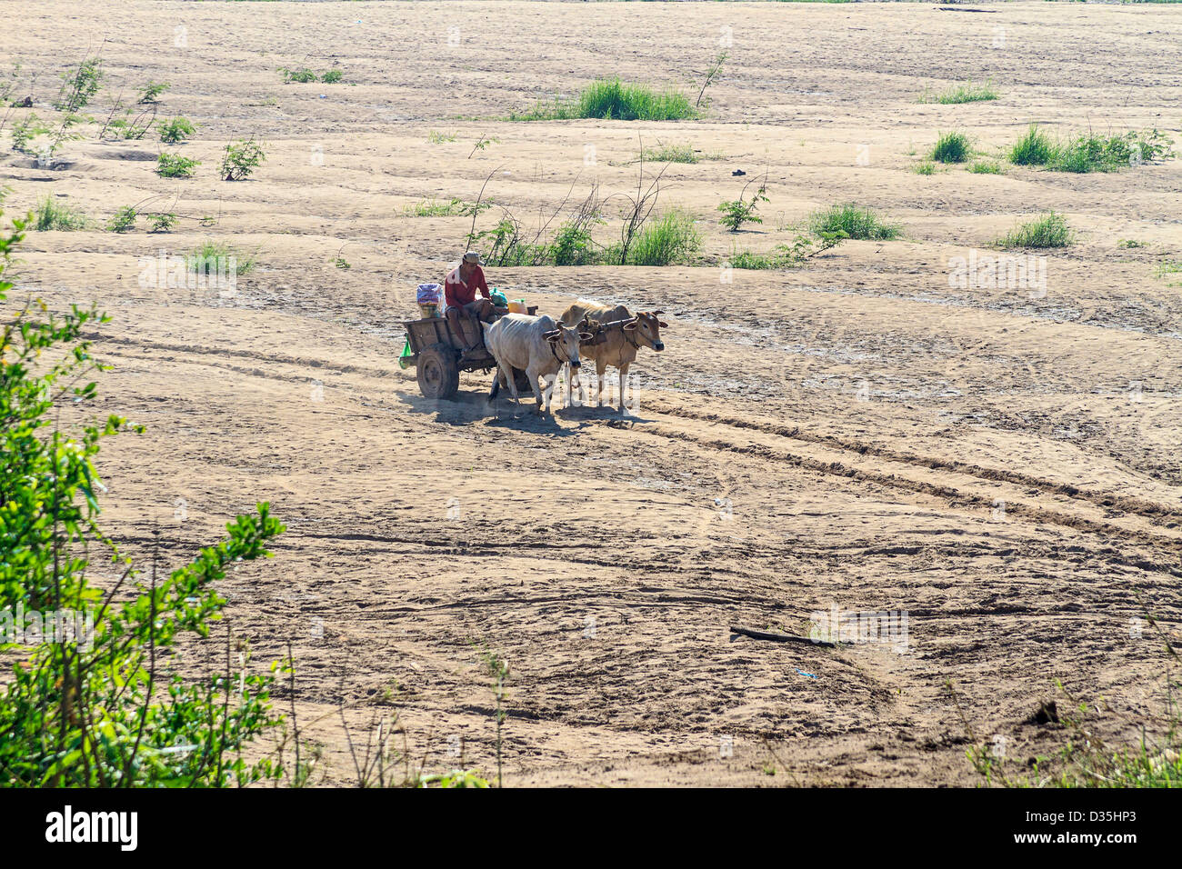 Ox cart cambodia hi-res stock photography and images - Alamy
