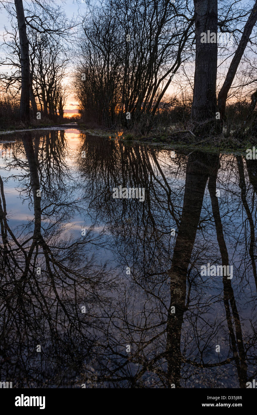 Reflection at sunset hi-res stock photography and images - Alamy