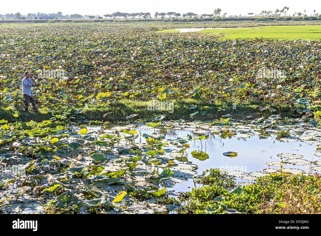 Man fishing in siem reap hi-res stock photography and images - Alamy
