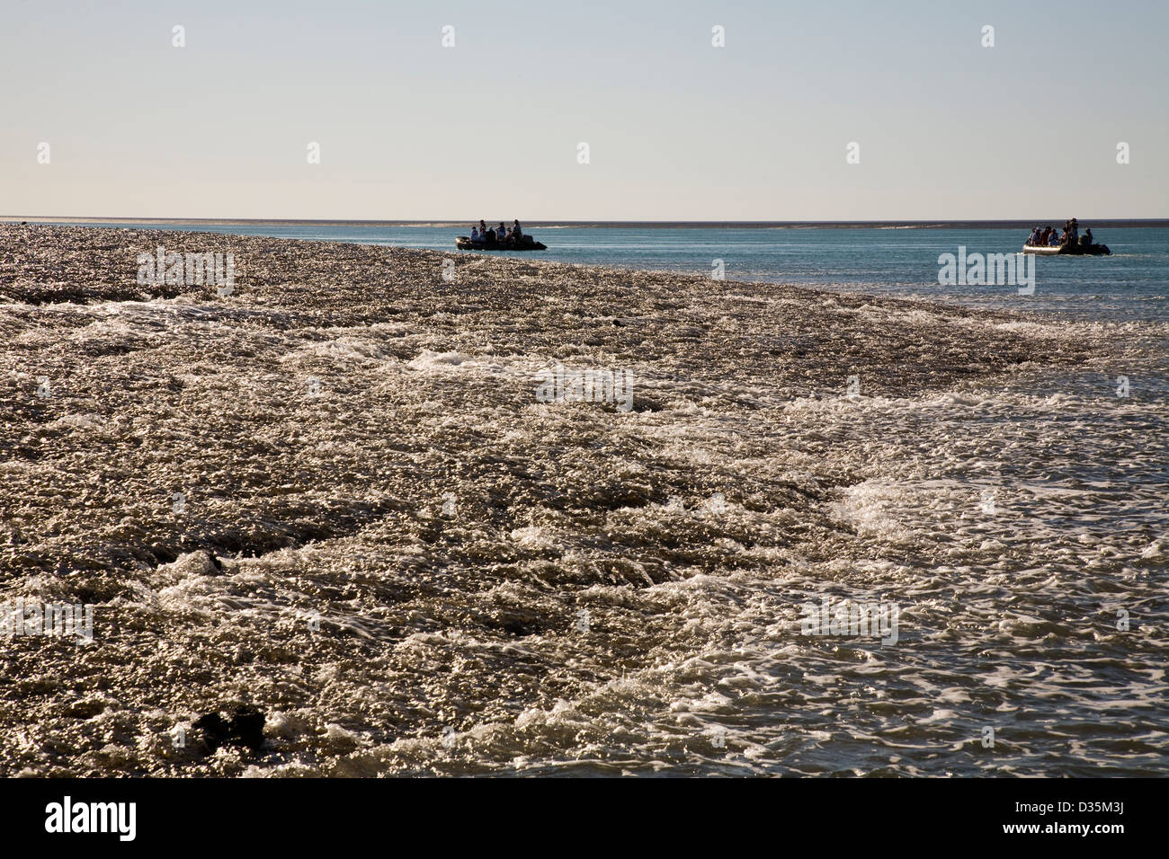 Zodiacs from the Aussie expedition cruiser Orion probe Montgomery Reef ...