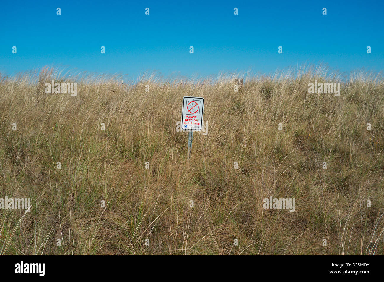 Please keep off the dunes sign on a dune on the beach Stock Photo - Alamy
