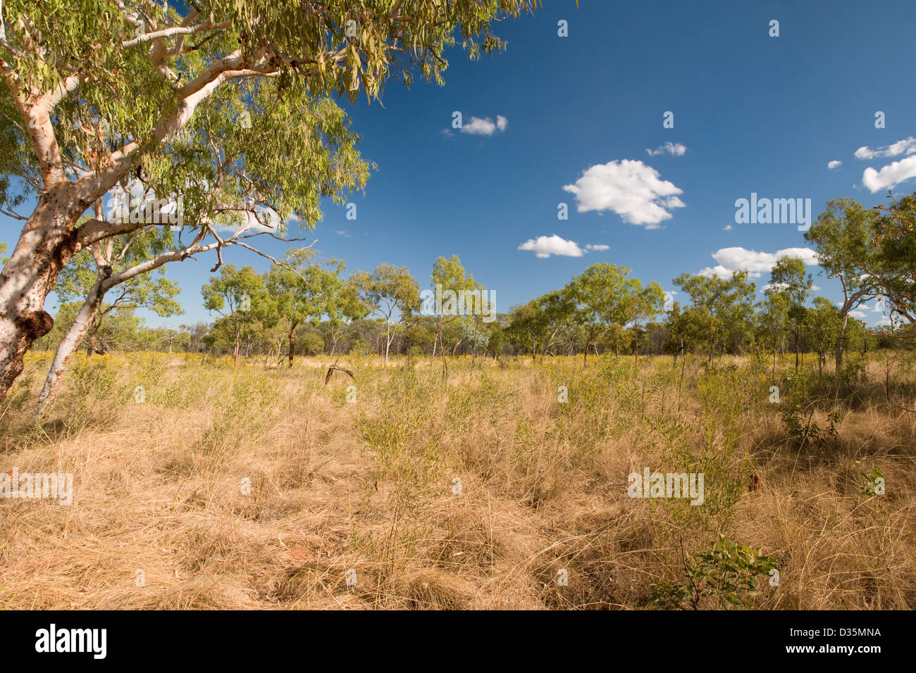 Outback scenery in the Northern Territory, Australia Stock Photo - Alamy