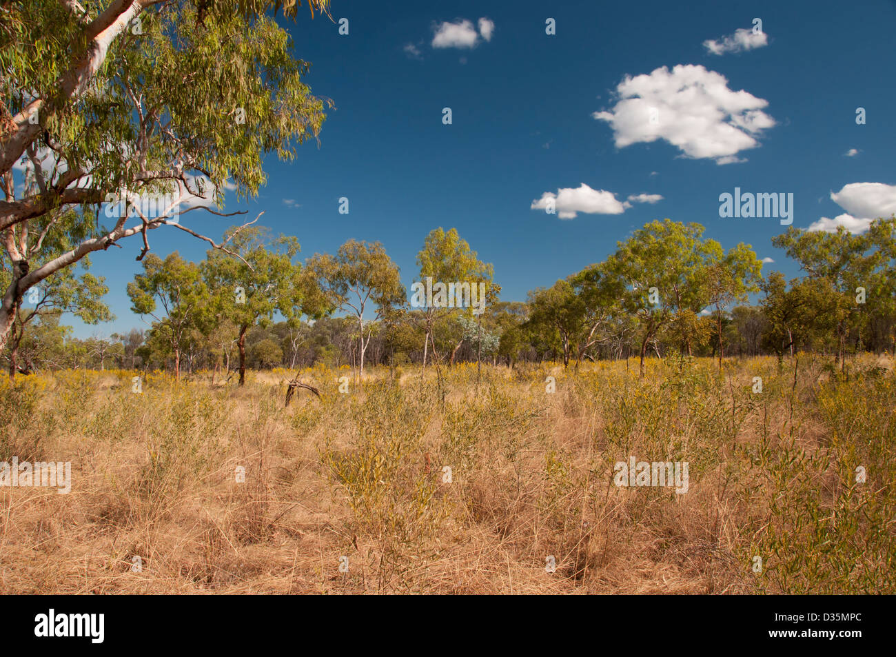 Northern territory farm hi-res stock photography and images - Alamy