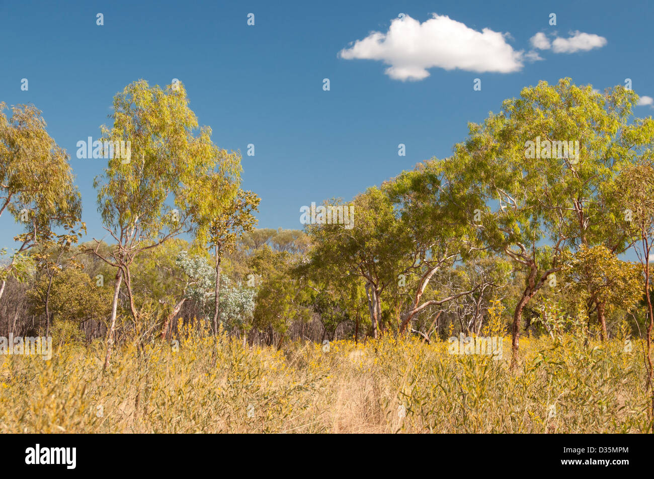 Outback scenery in the Northern Territory, Australia Stock Photo - Alamy