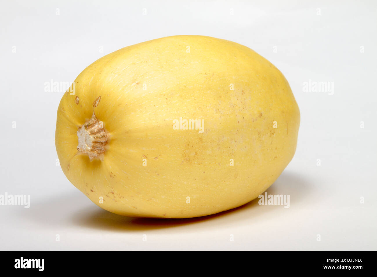 Fresh spaghetti squash hi-res stock photography and images - Alamy