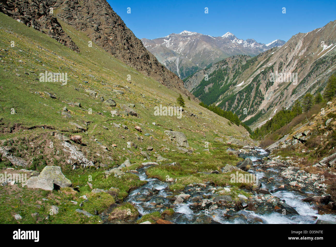 Panoramic view of Gran Paradiso National Park with snow clad peaks and ...