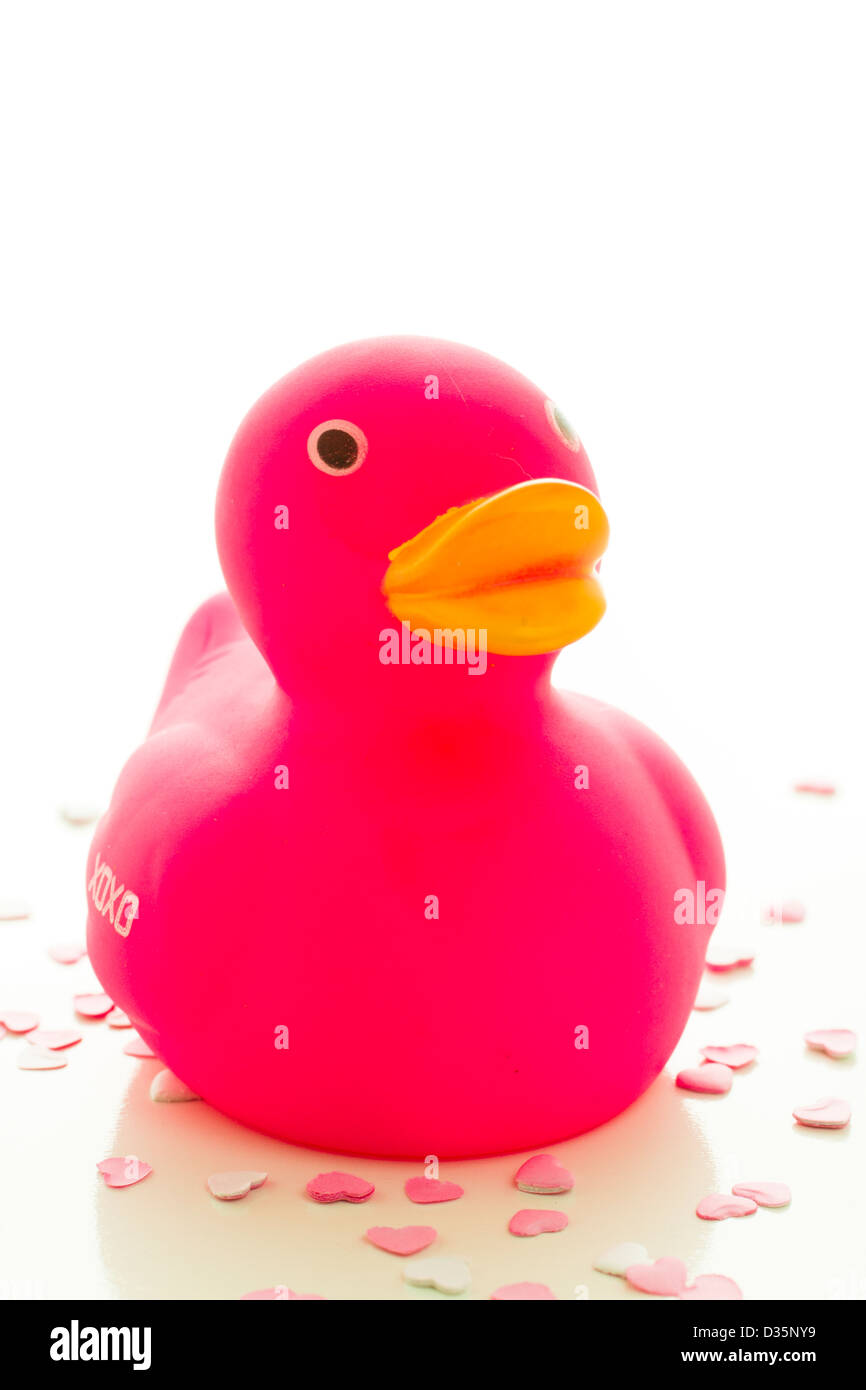 Pink rubber duckling on white backgound Stock Photo - Alamy