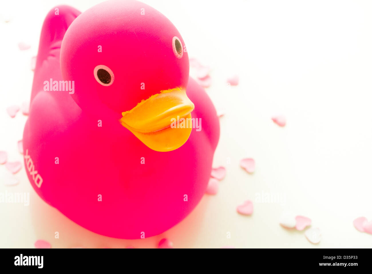 Pink rubber duckling on white backgound Stock Photo - Alamy