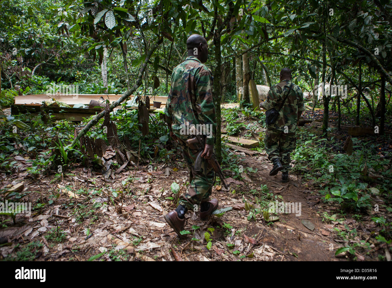 Congo logging illegal hi-res stock photography and images - Alamy