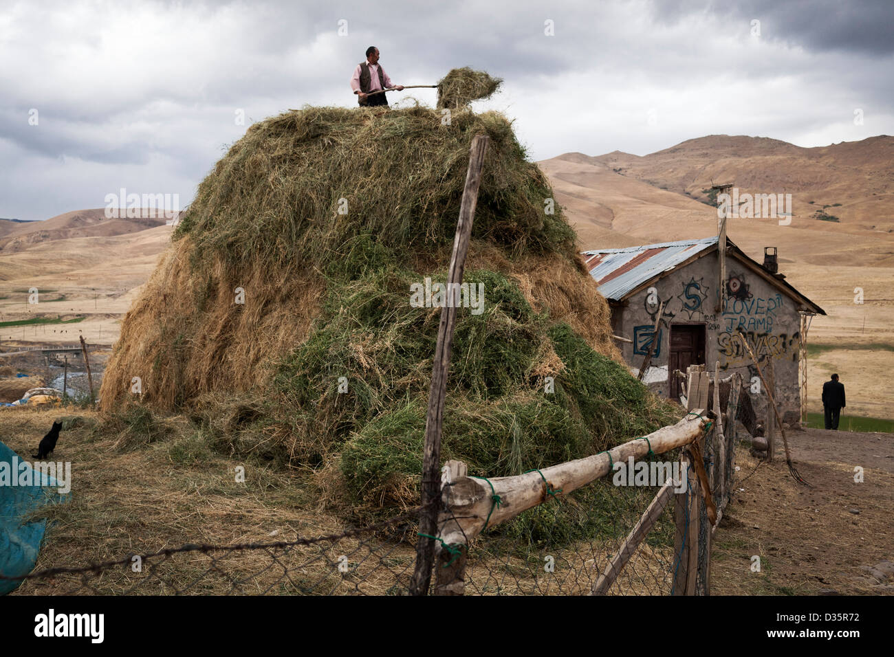 A Kyrgyz man stacking hay in the resettlement village of Ulupamir ...