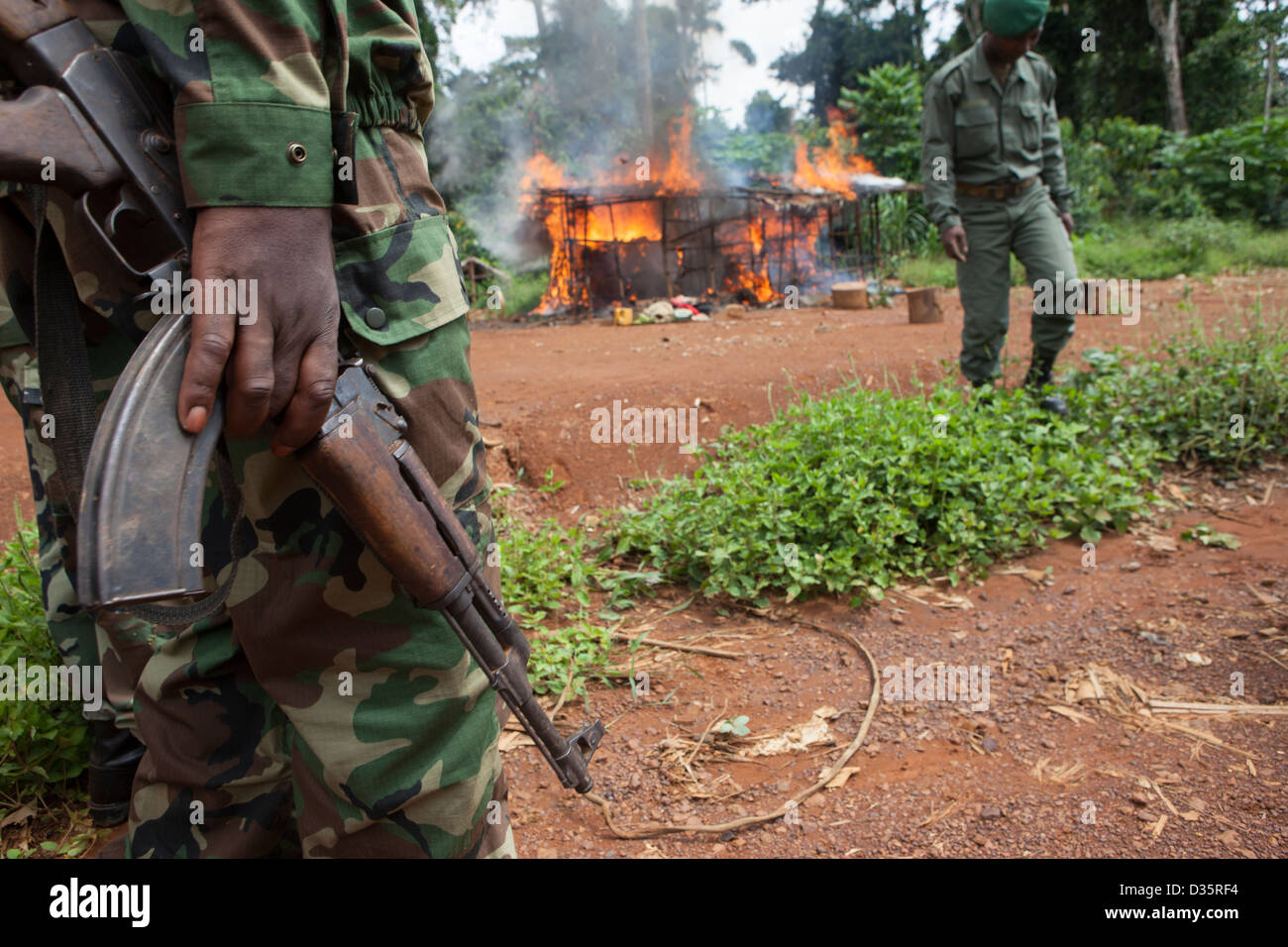 Congo rainforest brazzaville hi-res stock photography and images - Alamy