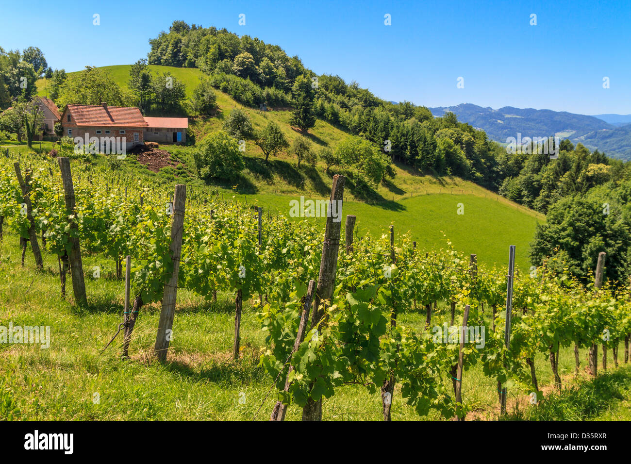 Styria hi-res stock photography and images - Alamy