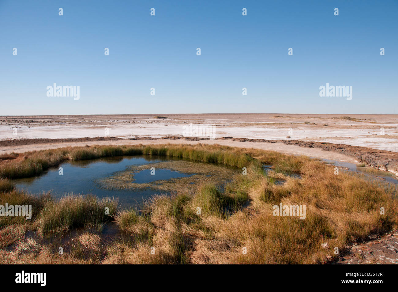 Spring australia hi-res stock photography and images - Alamy