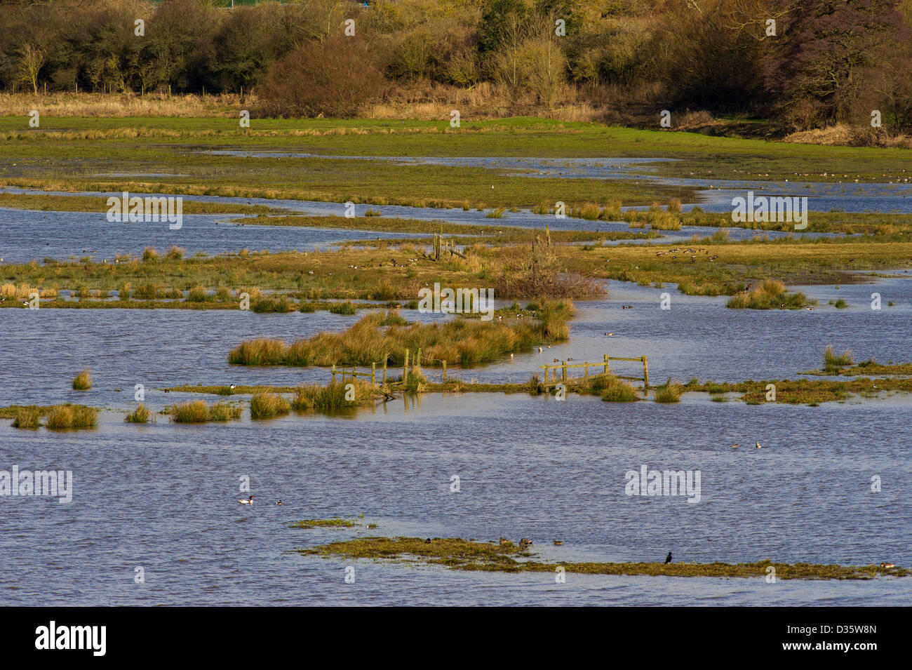Pulborough brooks rspb nature reserve hi-res stock photography and ...