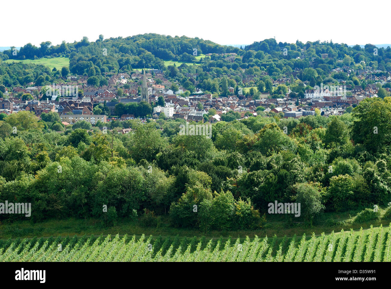 View of dorking hi-res stock photography and images - Alamy