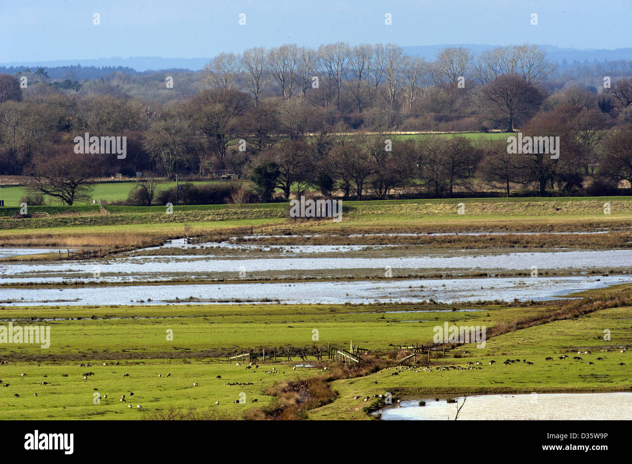 View across Pulborough Brooks RSPB Nature Reserve in West Sussex UK ...