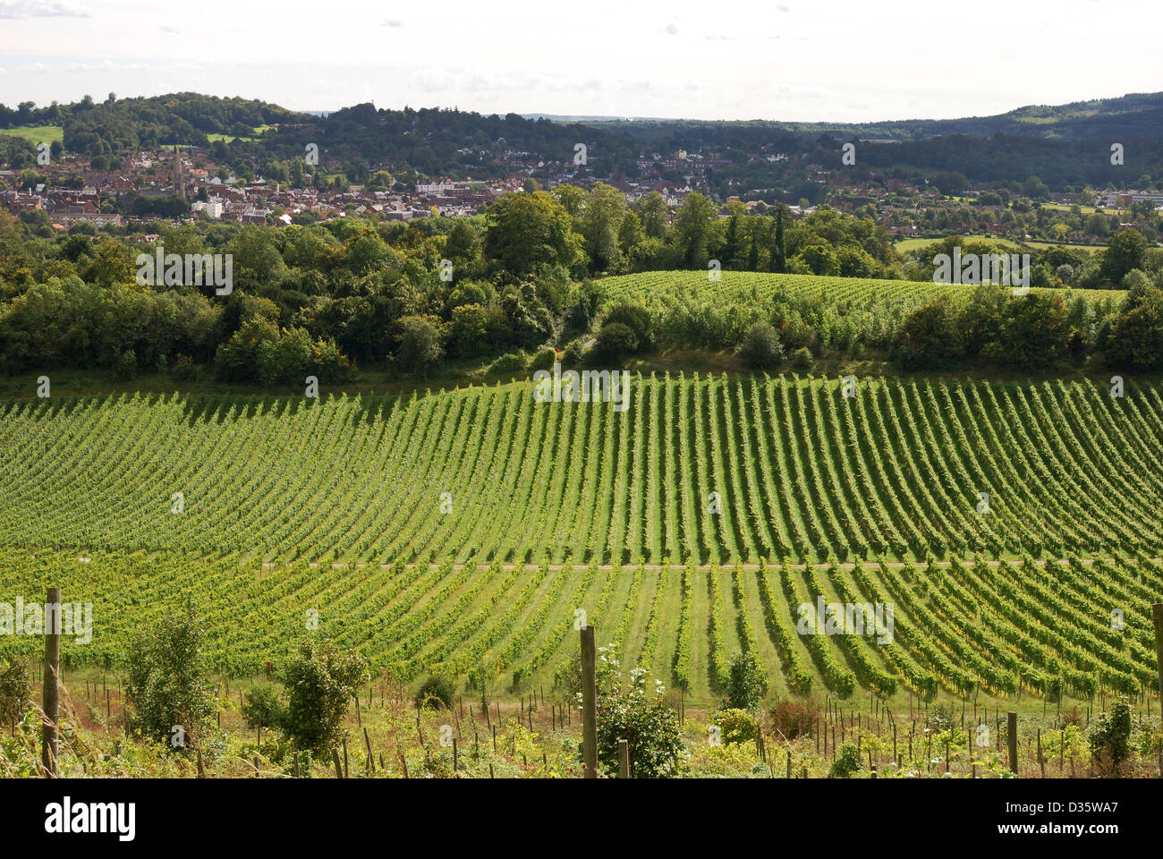 Dorking town surrey hi-res stock photography and images - Alamy