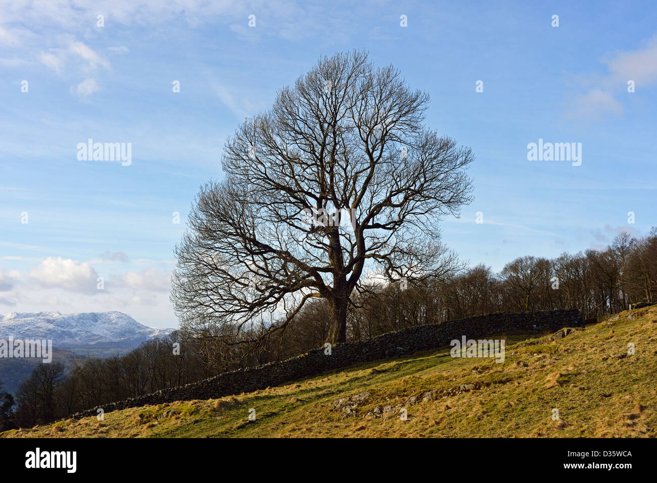 Windermere winter hi-res stock photography and images - Alamy