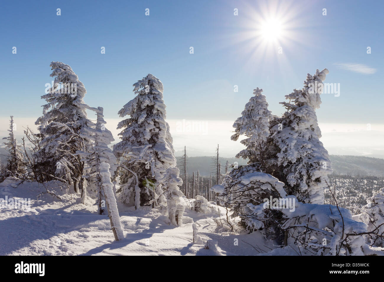 winter in bavarian forest, germany Stock Photo - Alamy