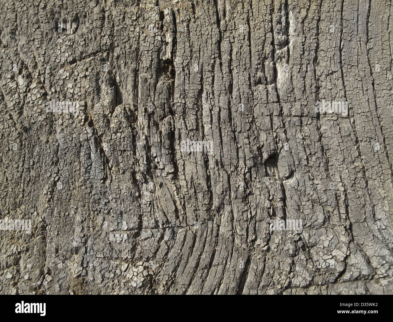 Splinter texture hi-res stock photography and images - Alamy