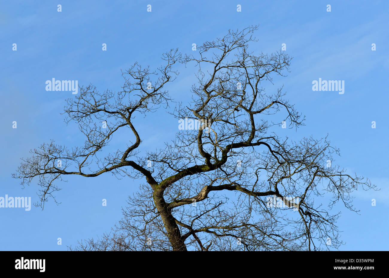 Windermere branch hi-res stock photography and images - Alamy