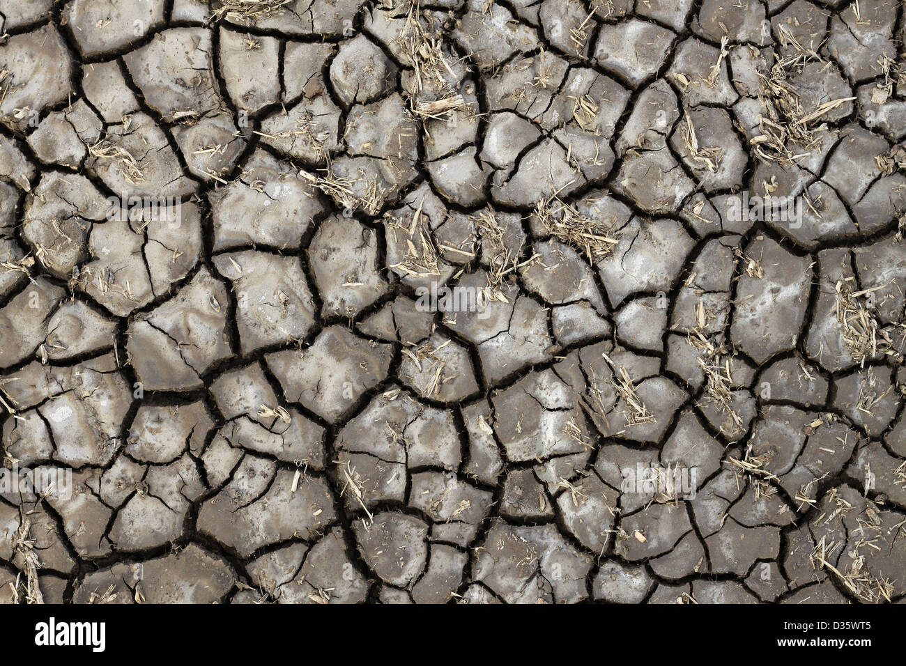 Closeup of dry soil Stock Photo - Alamy