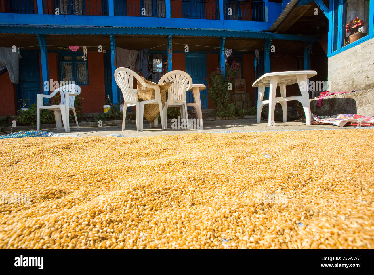 Rice drying hi-res stock photography and images - Alamy