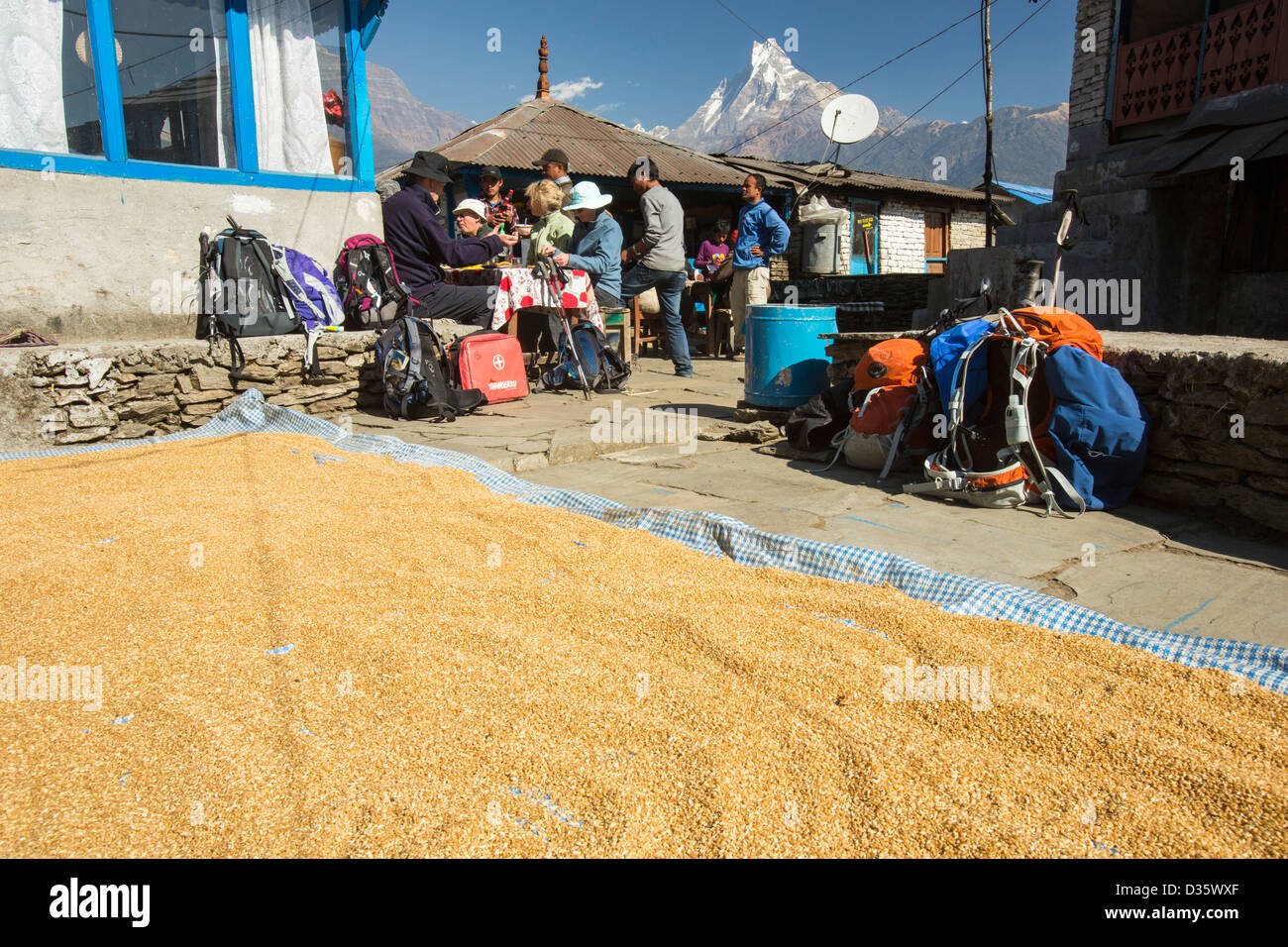Rice drying hi-res stock photography and images - Alamy