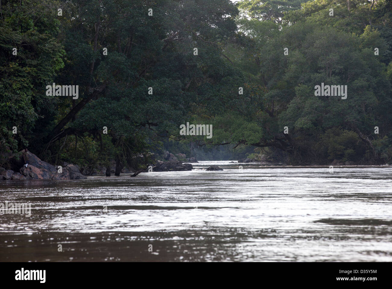 Messok dja national park hi-res stock photography and images - Alamy