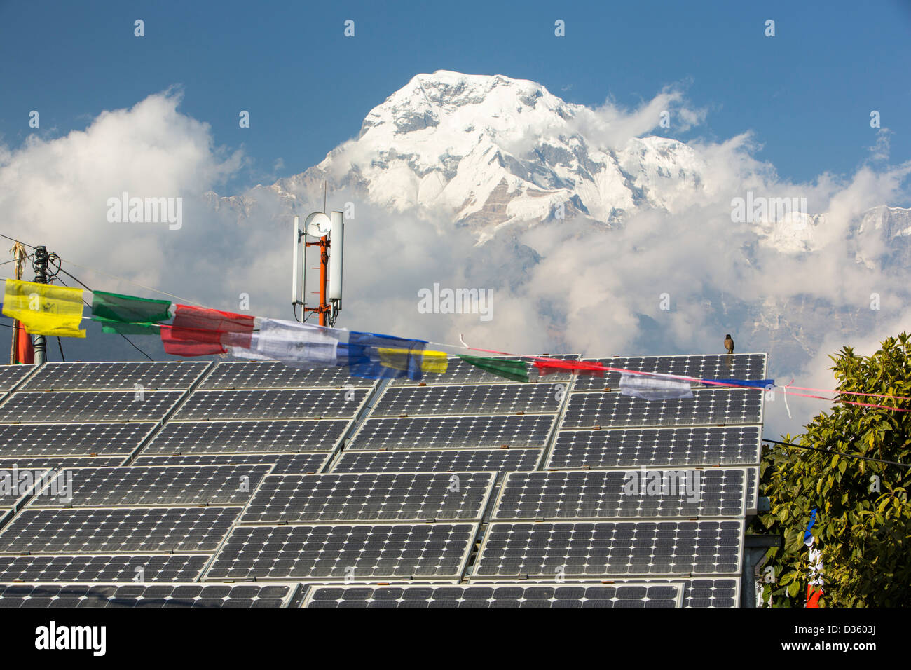 Solar photo voltaic panels at Ghandruk in the Himalayas, Nepal, being ...